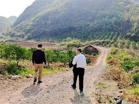 服務特色產業 果園地租賃起糾紛法官現場勘察穩農心 壹讀