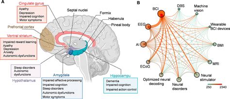Neural Interfaces Bridging The Brain To The World Beyond Healthcare Xu Exploration Wiley