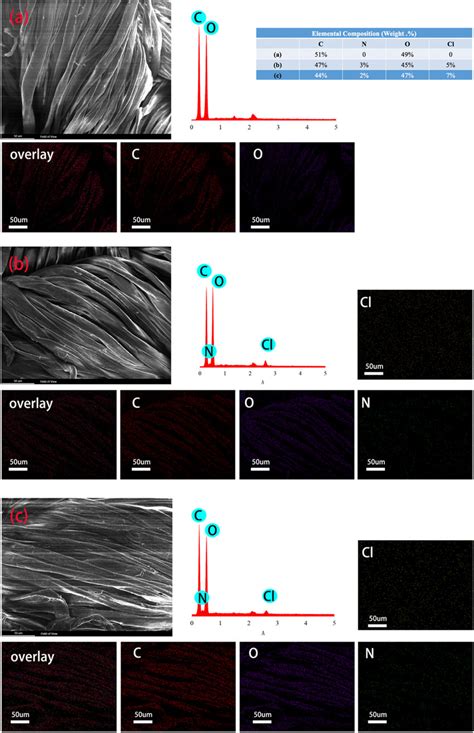 Sem Image Eds Results And Eds Elemental Distribution Images Identify
