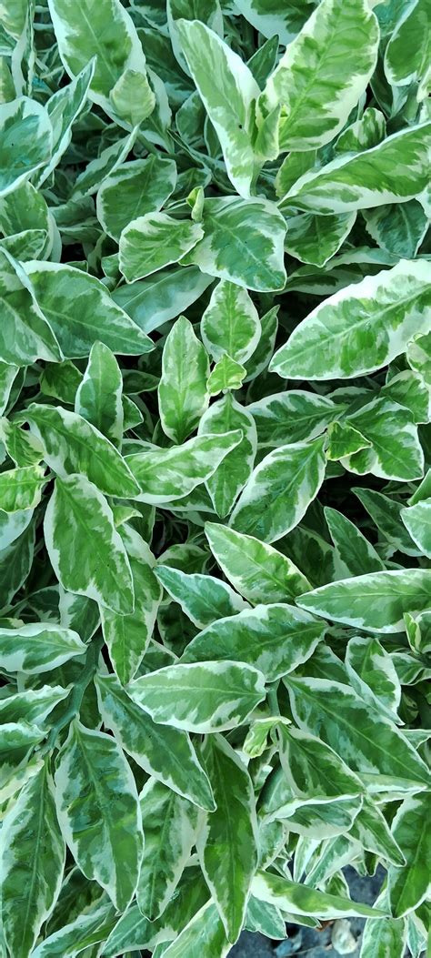 Click Cute Click Cute Added A New Photo