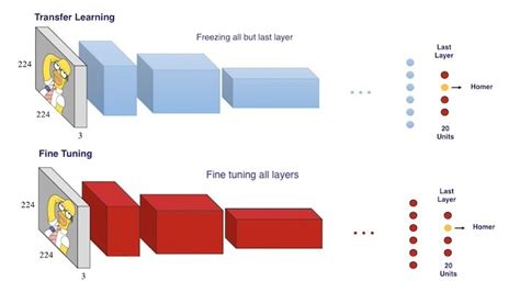From Generalization To Specialization The Role Of Transfer Learning