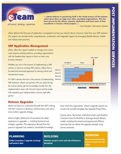 Pdf Sap Application Management Eteam · Efficiency Synergy
