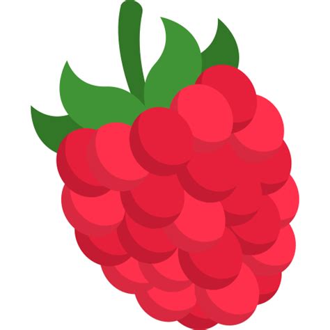 Raspberry Generic Flat Icon