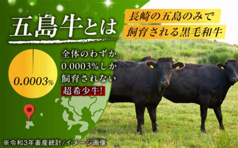 やみつき 五島牛 肩ロース 薄切り 600g A4 A5 国産牛 牛肉 ブランド牛 すき焼き 五島市肉のマルヒサ Pcv004 長崎