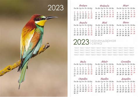 Календарная сетка на 2023 год скачать бесплатно календарь