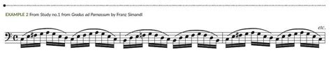 The Strad Technique Double Bass Sound Production The Strad