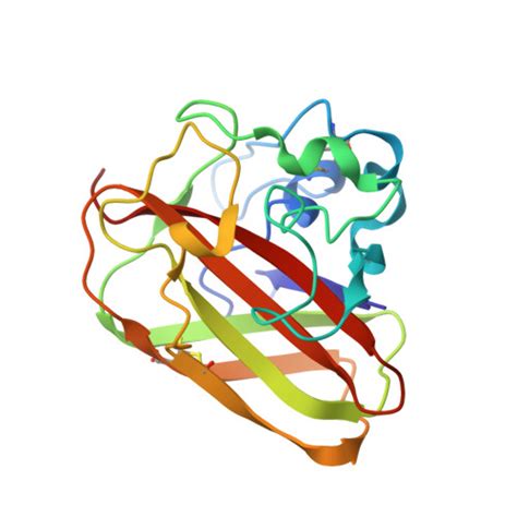 RCSB PDB 8CC5 Vibrio Cholerae GbpA LPMO Domain