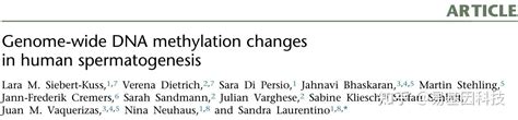 人类精子发生过程中的全基因组dna甲基化水平变化 知乎