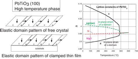 Schematic Illustration Of Domain Formation In Tetragonal 100 Thin Download Scientific Diagram
