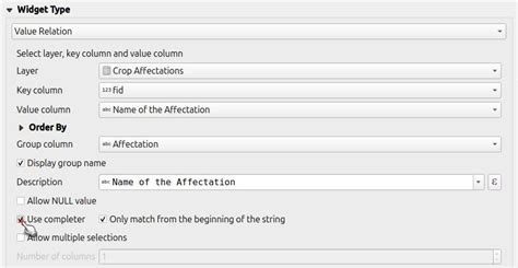 Simple Attribute Form Configuration
