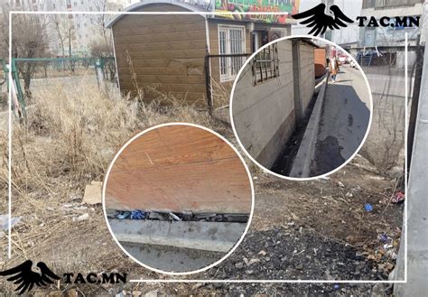 ТҮЦ нүүдийн булан тохой иргэн таны хогийн сав “жорлон” биш ТАС МН