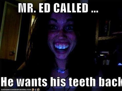 Mr Ed Called He Wants His Teeth Back