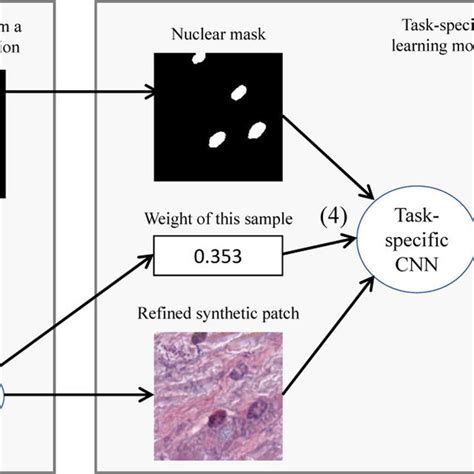 Evaluation And Visualization Of Importance Sampling Weights A Download Scientific Diagram