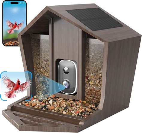 Birdster Smart Bird Feeder With Camera Solar Powered 2 5k