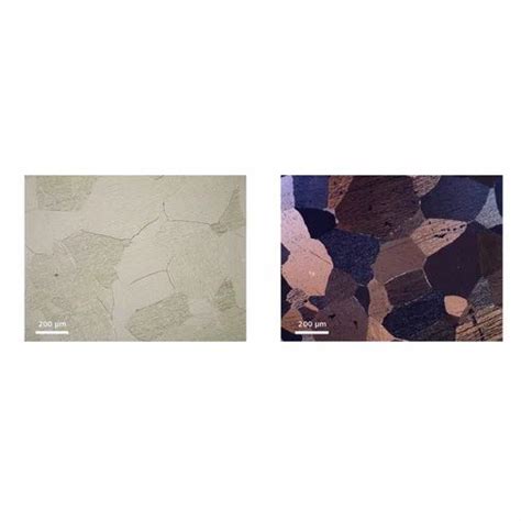 Carl Zeiss Primotech Light Microscope At Best Price In Bengaluru