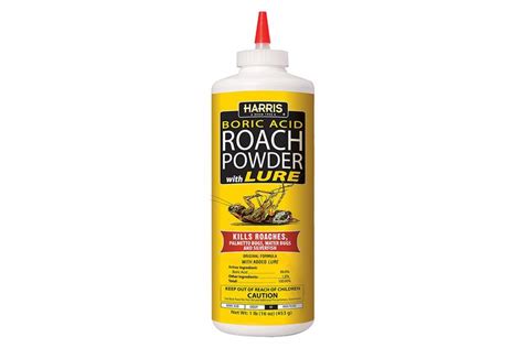 The 11 Best Roach Killers Of 2023