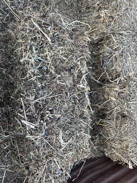 Baloti Iarba Cu Lucerna Brancoveni • Olx Ro