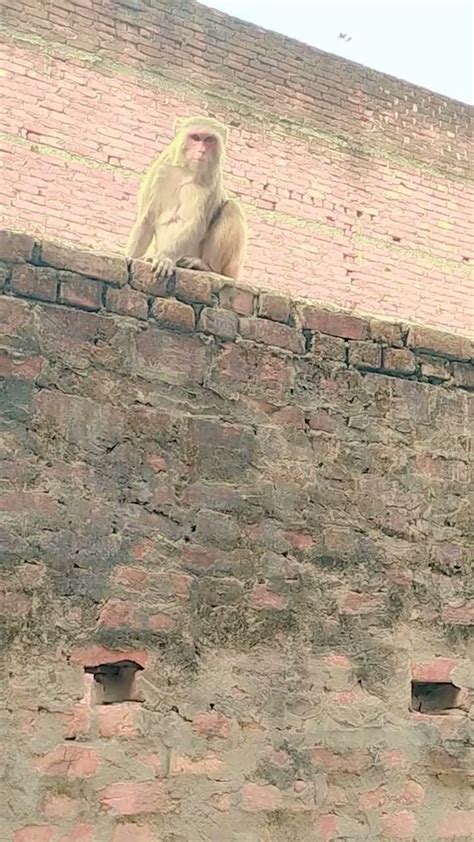इस भीषण गर्मी में इंस्टाग्राम के फिल्टर में बच्चा रखी है🤣😂🥵🥵 Comedy