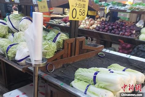 几块钱买一堆菜，今冬蔬菜为何跌出“白菜价”？绿政公署澎湃新闻 The Paper