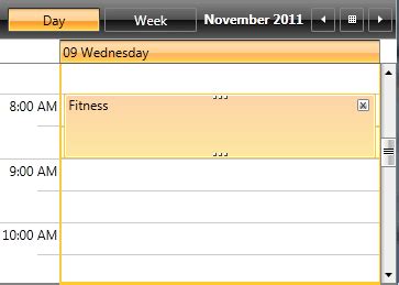 Wpf Scheduleview Inline Editing Telerik Ui For Wpf