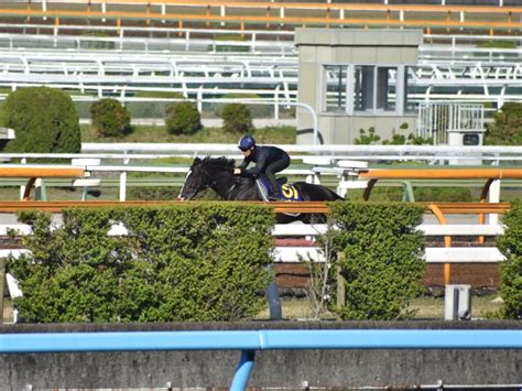 ダノンプレミアム、安田記念1週前追い切り速報栗東トレセンニュース 競馬ニュース