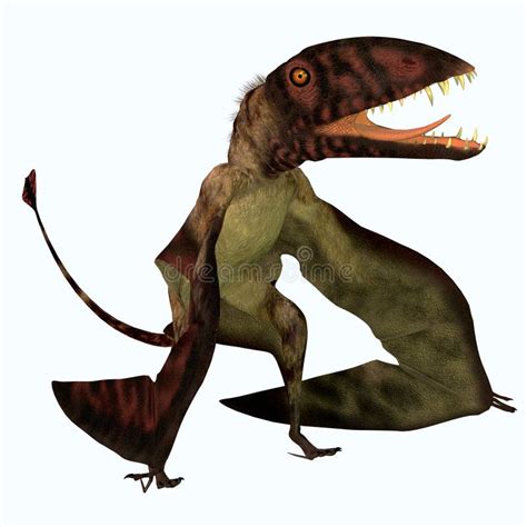 Dimorphodon Pterosaur Stock De Ilustración Ilustración De Inglaterra