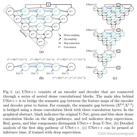 Unet A Nested U Net Architecture For Medical Image Segmentationunet