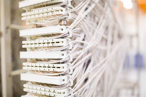 Network Patch Panel Is Being Shown Close Up In 3d Render With Ethernet Cables Under Warm Light