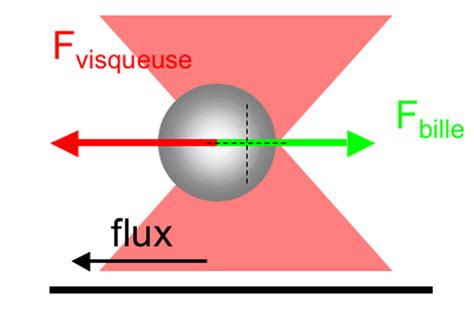 10 Bilan Des Forces Agissant Sur Une Bille Piégée Dans Un Flux