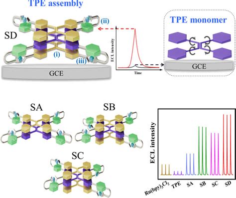 Precise Modulation Of Intramolecular Aggregation‐induced Electrochemiluminescence By