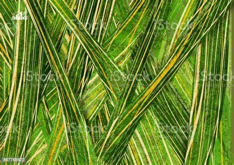 추상 이국적인 열 대 잎 배경입니다 Eps10 벡터 일러스트입니다 0명에 대한 스톡 벡터 아트 및 기타 이미지 0명 계절 관목 Istock