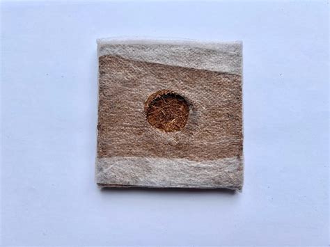 Grow Cubes Vishmi International Holdings Pvt Ltd