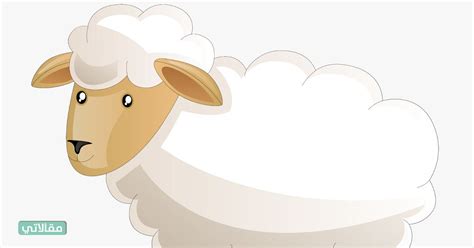 صور خروف العيد كرتون 2022 موقع مقالاتي