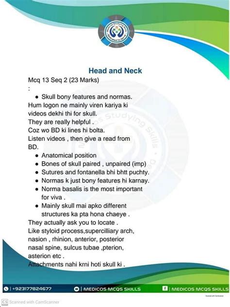 SOLUTION Head And Neck Guidelines Studypool