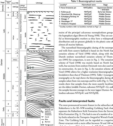 Chronostratigraphy Biostratigraphy Lithostratigraphy And Lithology In Download Scientific