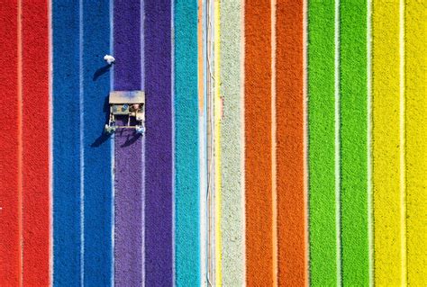 Unicellular And Multicellular Organisms Examples And Differences Evidence Network