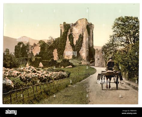 1272 Ross Castle Ii Killarney County Kerry Ireland Lccn2002717424
