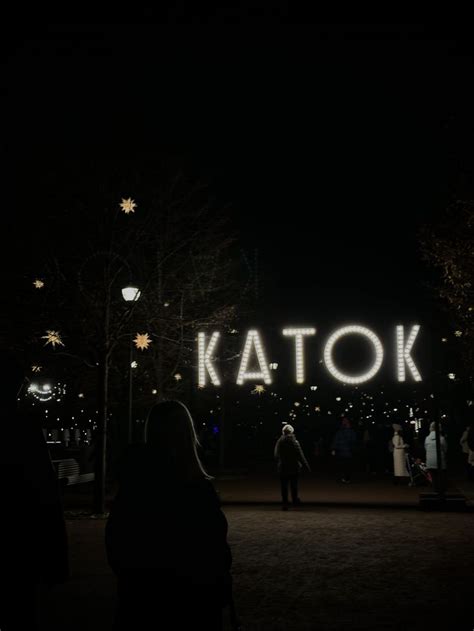 Новая Голландия
