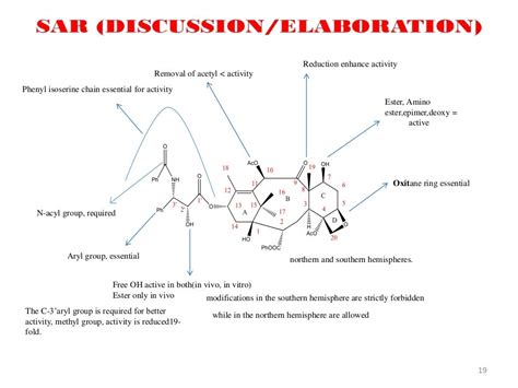 Structure Activity Relationship 6