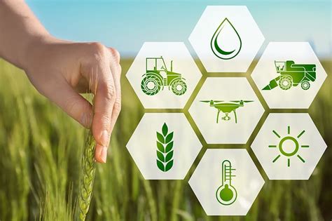 Chuyển đổi Số Trong Nông Nghiệp Nguyên Nhân Và Giải Pháp