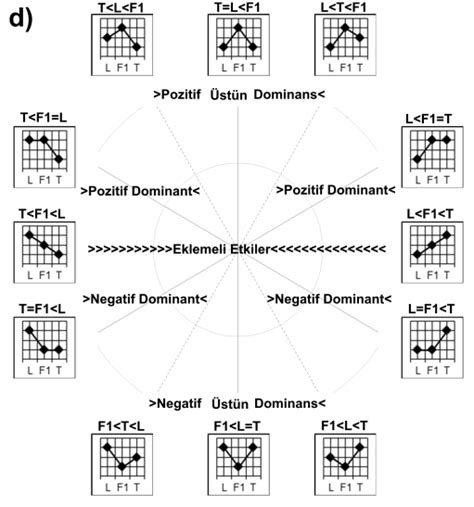 Representation Of Gene Effects Causing Heterosis To Physiological B