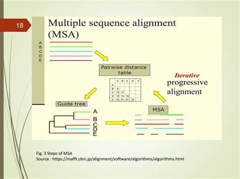 Sequence Homology Search And Multiple Sequence Alignment1 Ppt