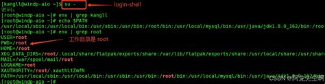 【linux】 Su 和 Sudo 的区别剖析su命令 Csdn博客