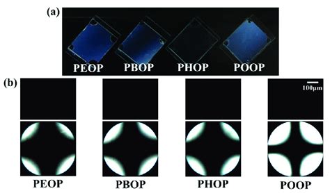 A Photograph B Orthoscopic Top And Conoscopic Bottom Polarized Download Scientific