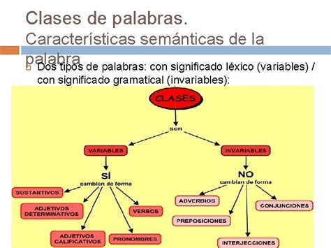 TEMA MORFOLOGA LA PALABRA Bachillerato TIPOS DE