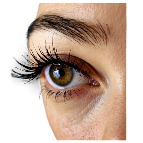 Download Eyelash Drawing Png Cab35