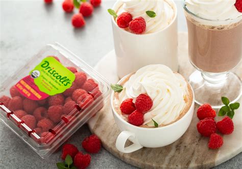Raspberry Infused Vodka Recipe Driscoll S