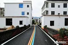 4a道路标准横断面图 花瓣网
