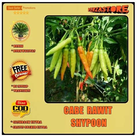 Jual Biji Benih Bibit Cabe Rawit Shypoon Hibrida Biji Shopee Indonesia