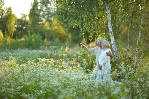 Loving Mature Couple In The Park In Summer Stock Image Image Of Male